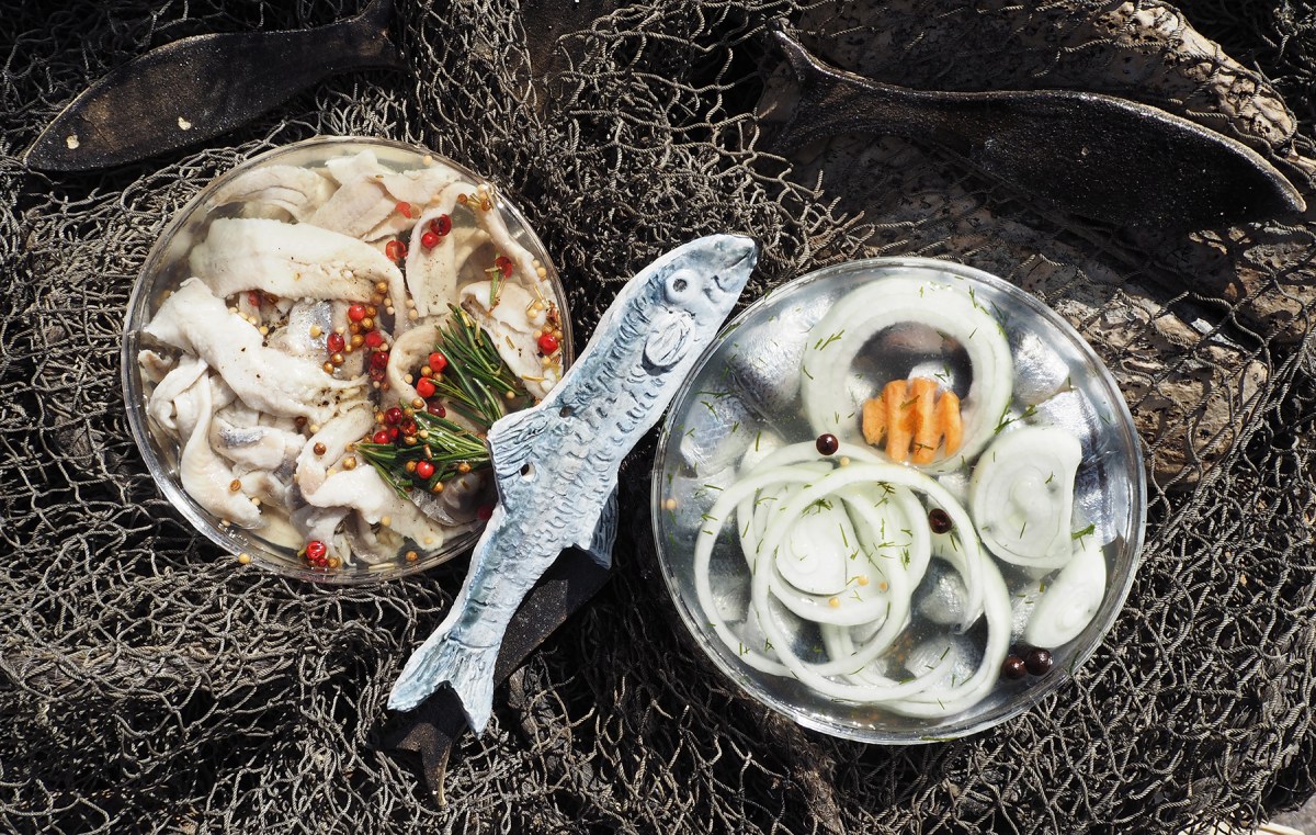 Ota yhteyttä – Pirjo ja Reima Salonen